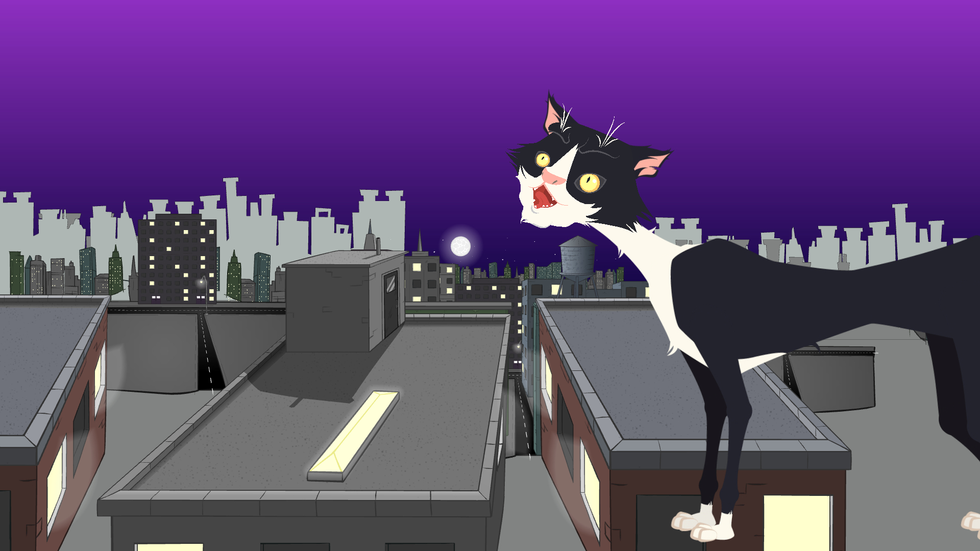 The Cat Crash | Set on a Hill